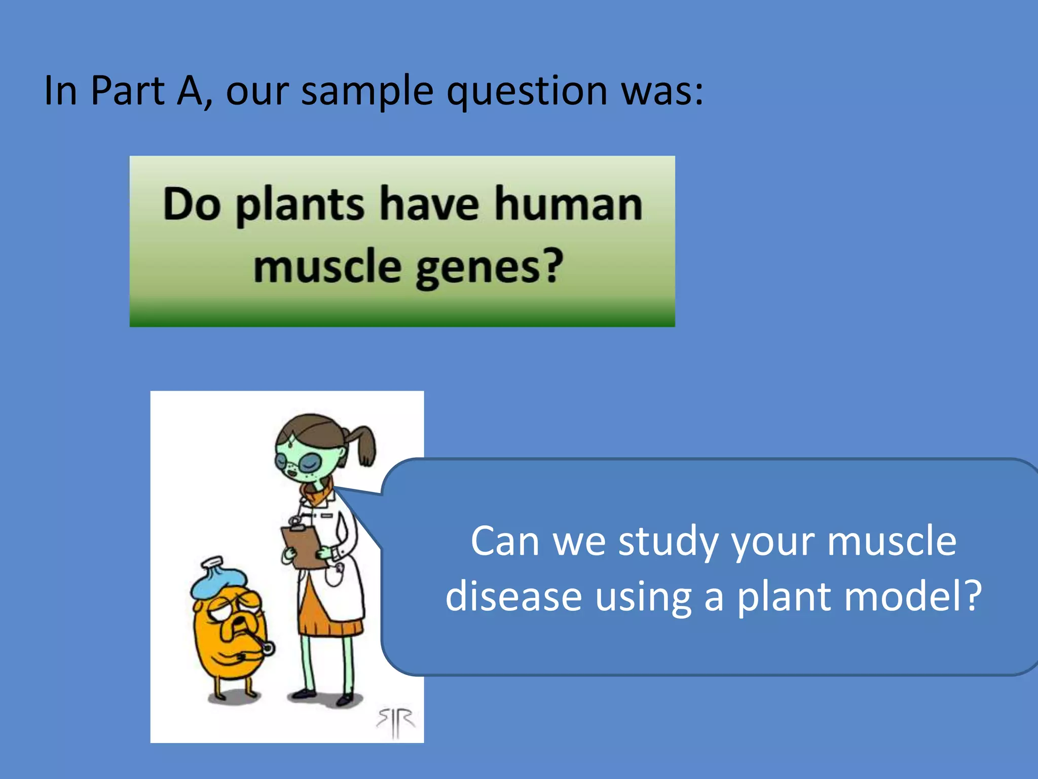 Introduction to Gene Mining: Part B: How similar are plant and animal ...