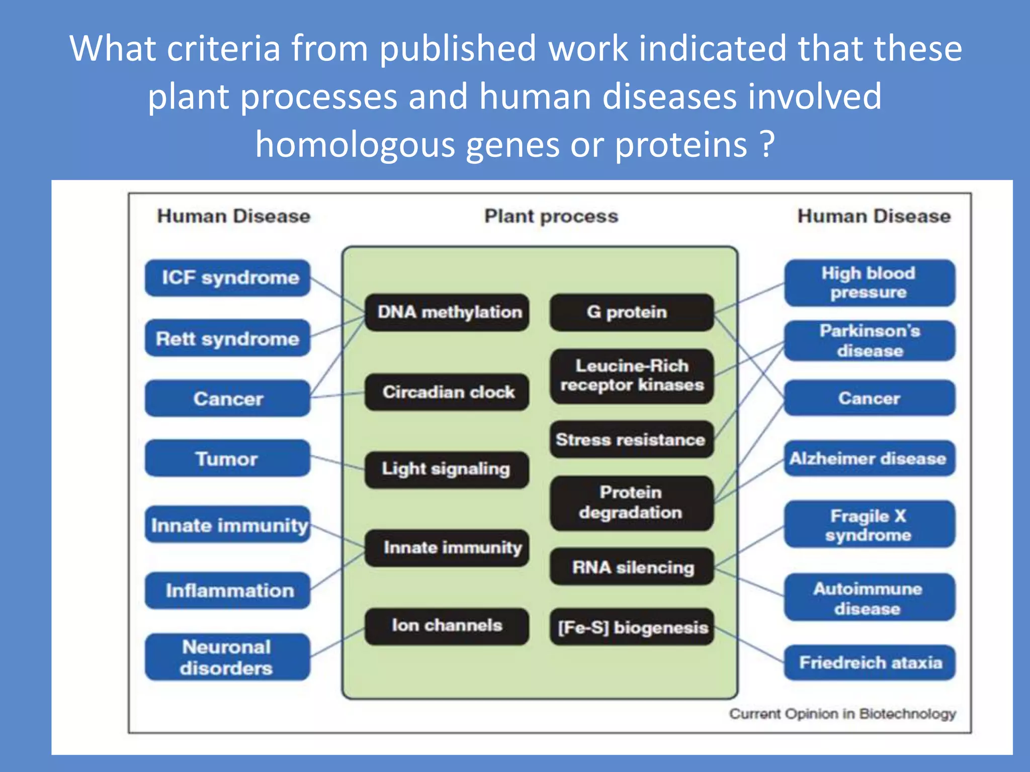Introduction to Gene Mining: Part B: How similar are plant and animal ...