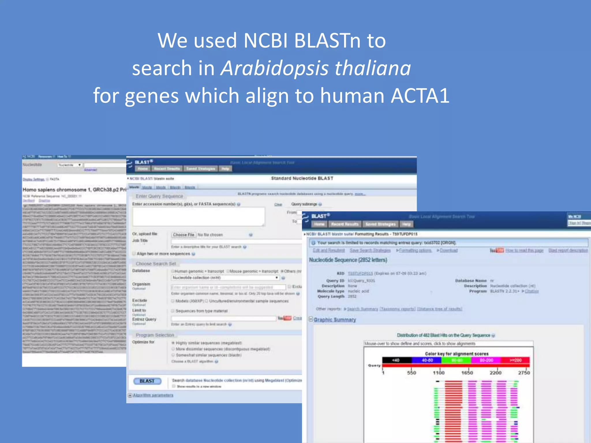 Introduction to Gene Mining: Part B: How similar are plant and animal ...
