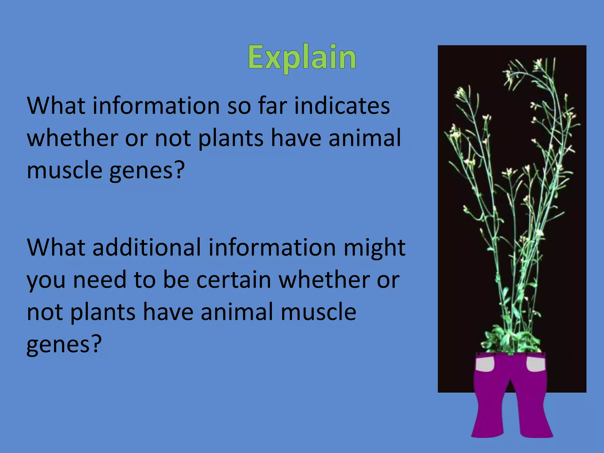 Introduction to Gene Mining: Part B: How similar are plant and animal ...