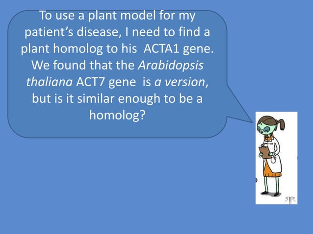 Introduction to Gene Mining: Part B: How similar are plant and animal ...