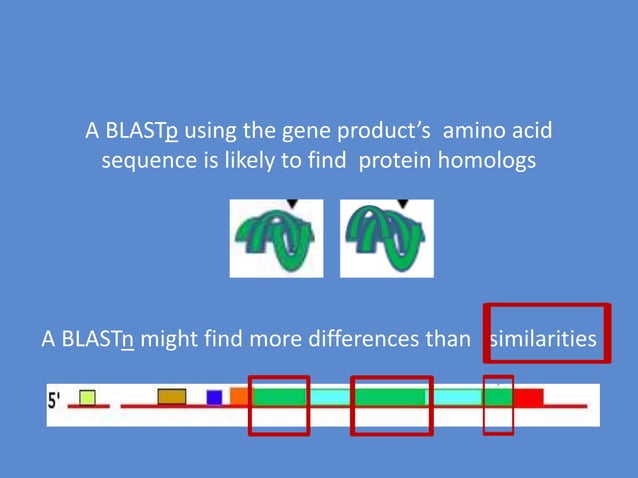Introduction to Gene Mining: Part B: How similar are plant and animal ...