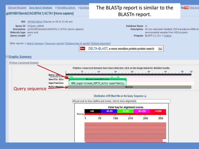 Introduction to Gene Mining: Part B: How similar are plant and animal ...