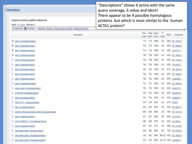 Introduction to Gene Mining: Part B: How similar are plant and animal ...
