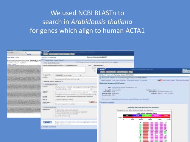 Introduction to Gene Mining: Part B: How similar are plant and animal ...