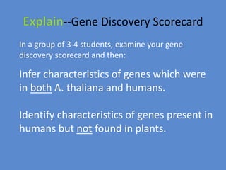 Introduction to Gene Mining: Part B: How similar are plant and animal ...