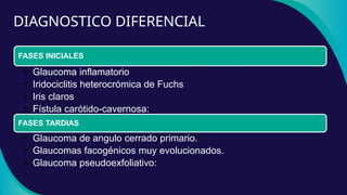 PARTE 1-3 GNV.pptx ojo seco, glaucoma, conjuntivitis | PPTX