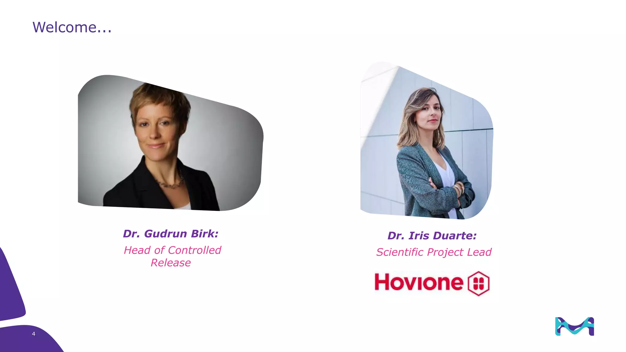 Solubility Enhancement, Stability and Scalability of Mesoporous Silica Formulations: From Lab to ...