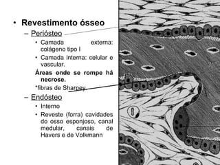 histologia e ortopedia | PPT
