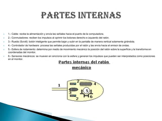 Parte externa del mouse | PPT