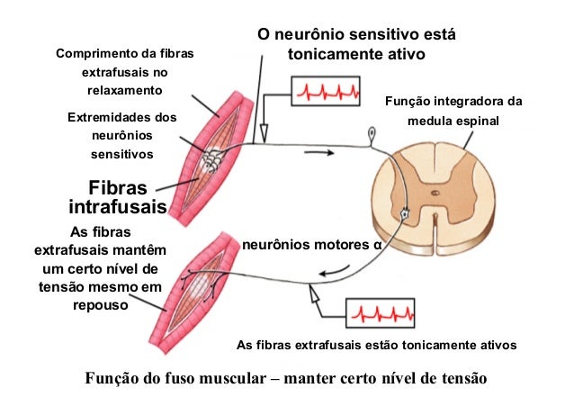 Parte i fundamentacao
