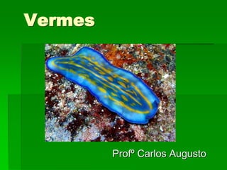 Parte II Reino Animal - vermes | PPTX