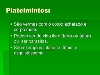 Parte II Reino Animal - vermes | PPTX