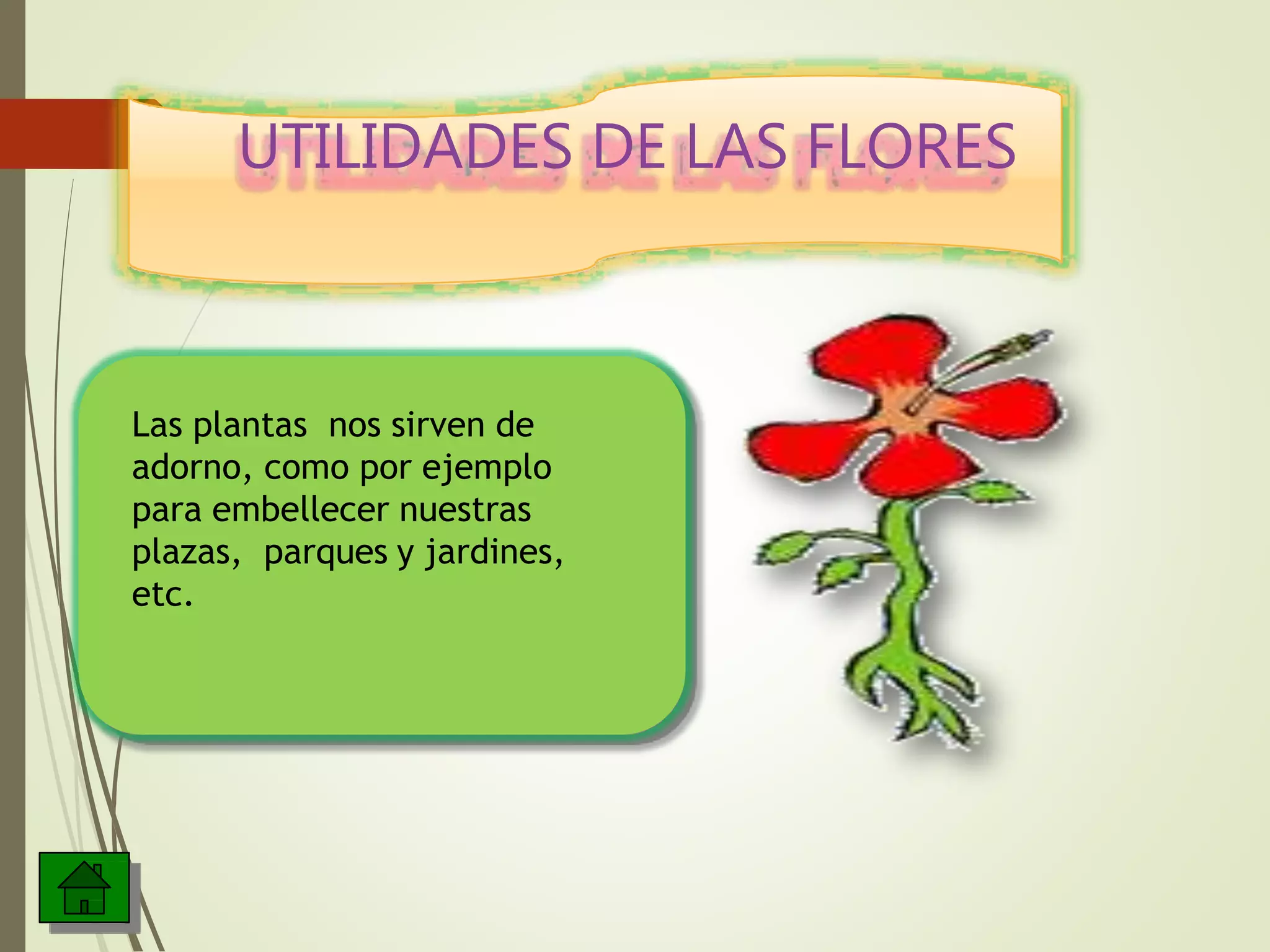 Partes-de-Las-Plantas.pptx