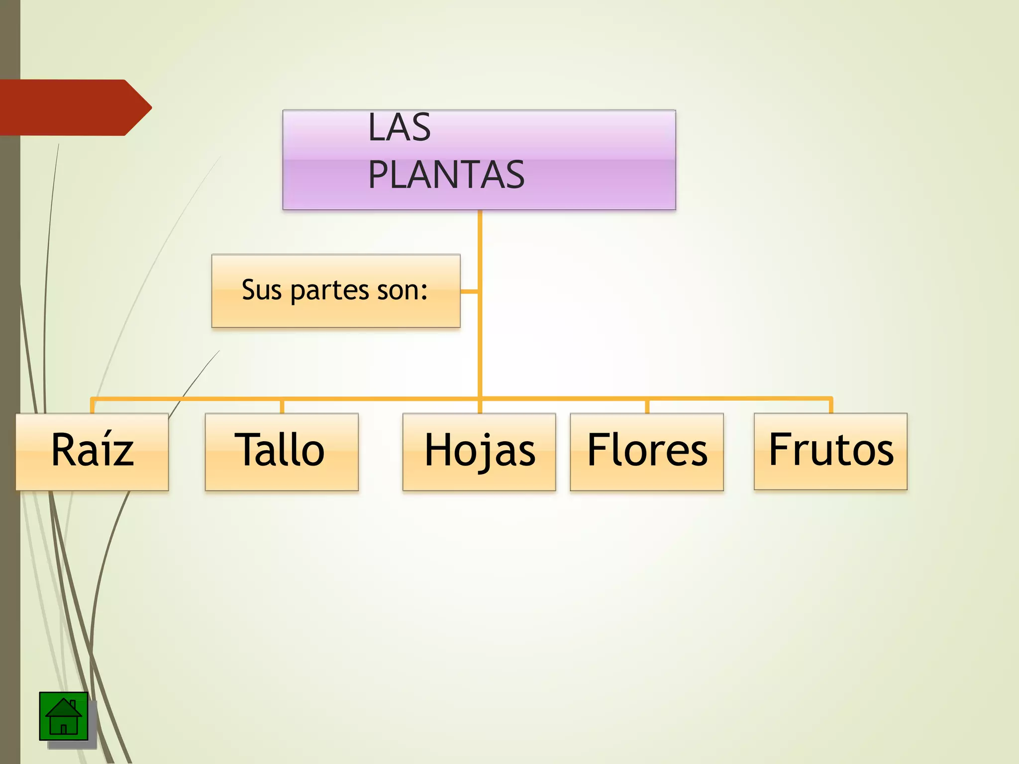 Partes-de-Las-Plantas.pptx