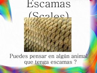 Partes Del Cuerpo Animal | PPS