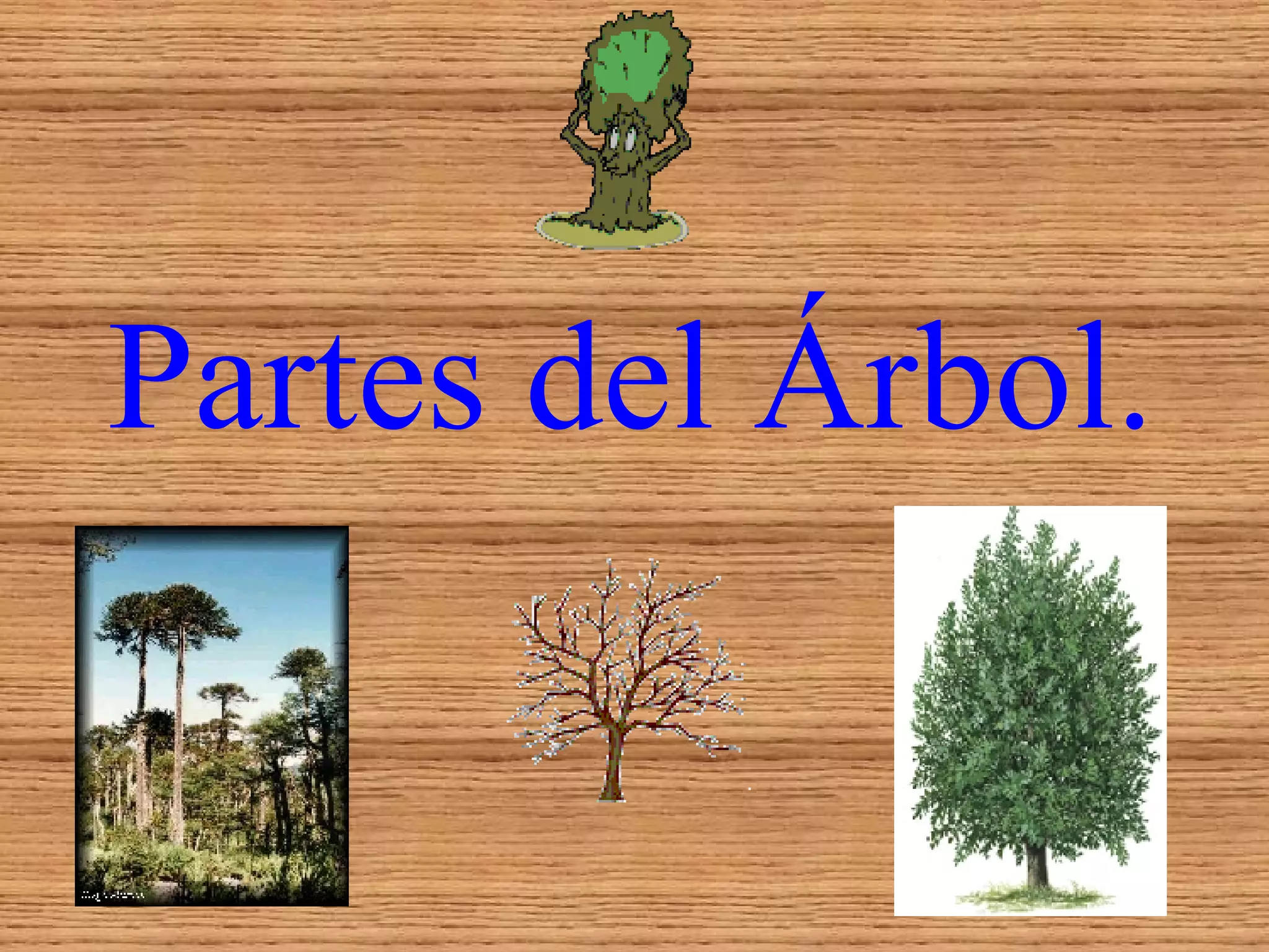 Partes Del áRbol | PPT