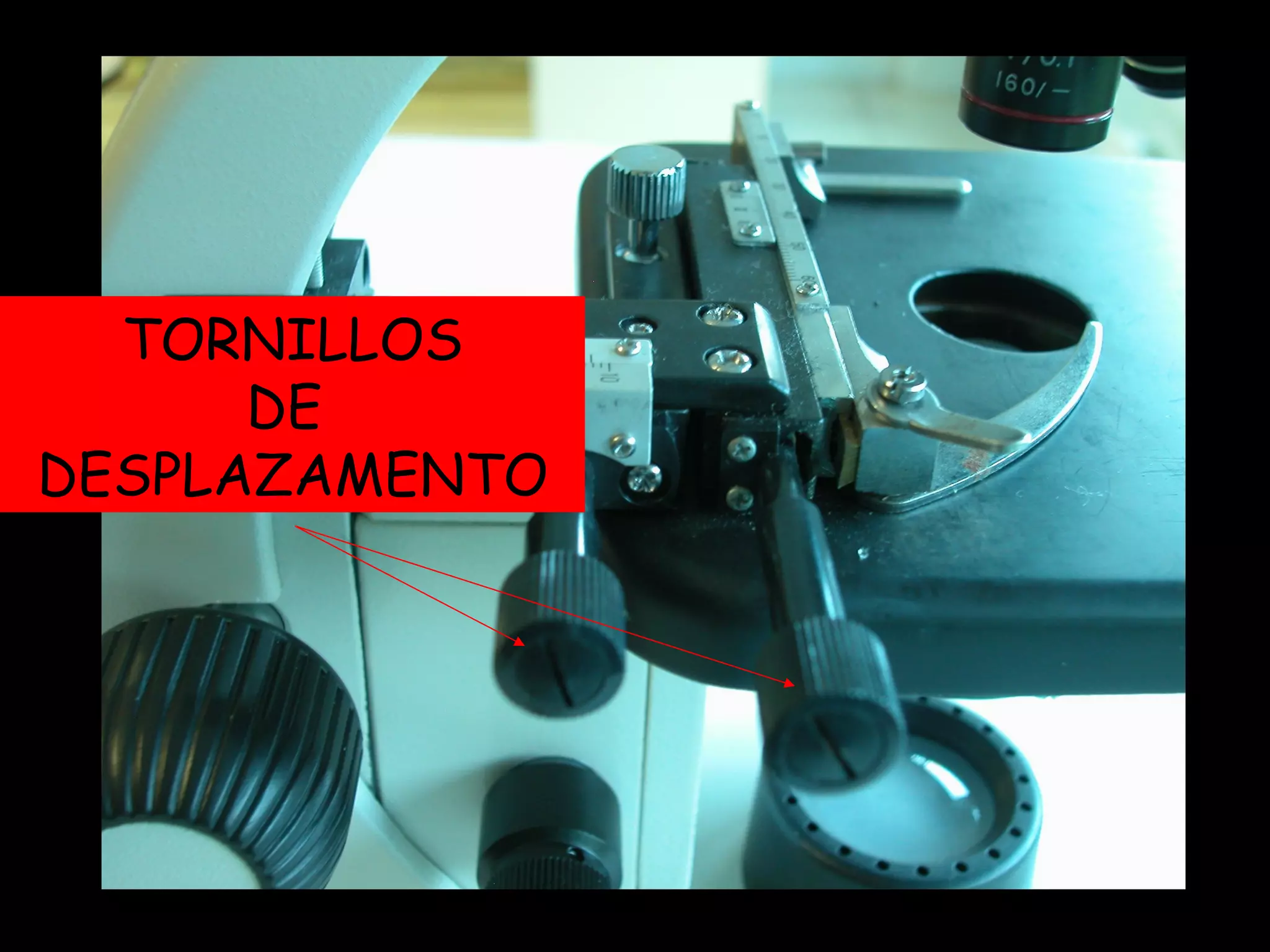 Partes Microscopio B Logia Bis | PPT