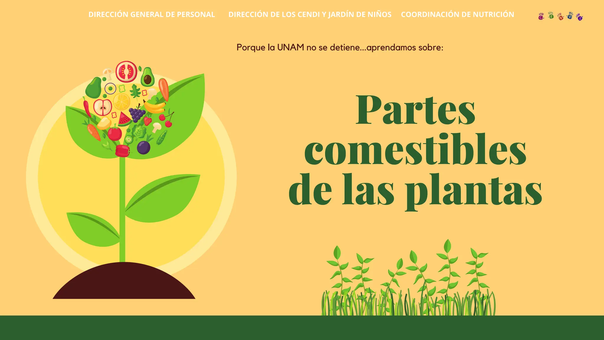 partes_comestibles_partes_comestibles_plantas.pdf | Nutrition | Healthy ...