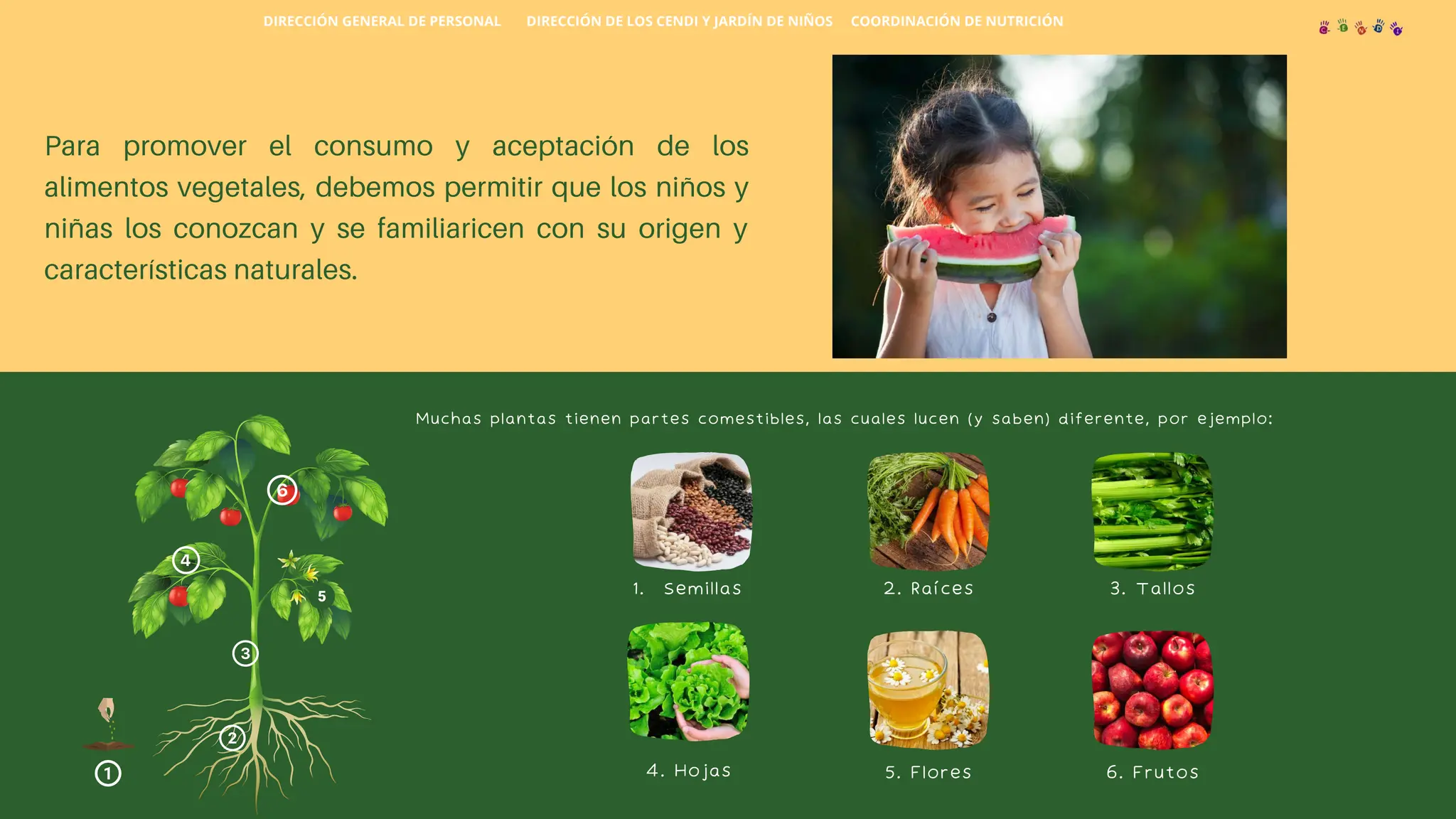 partes_comestibles_partes_comestibles_plantas.pdf