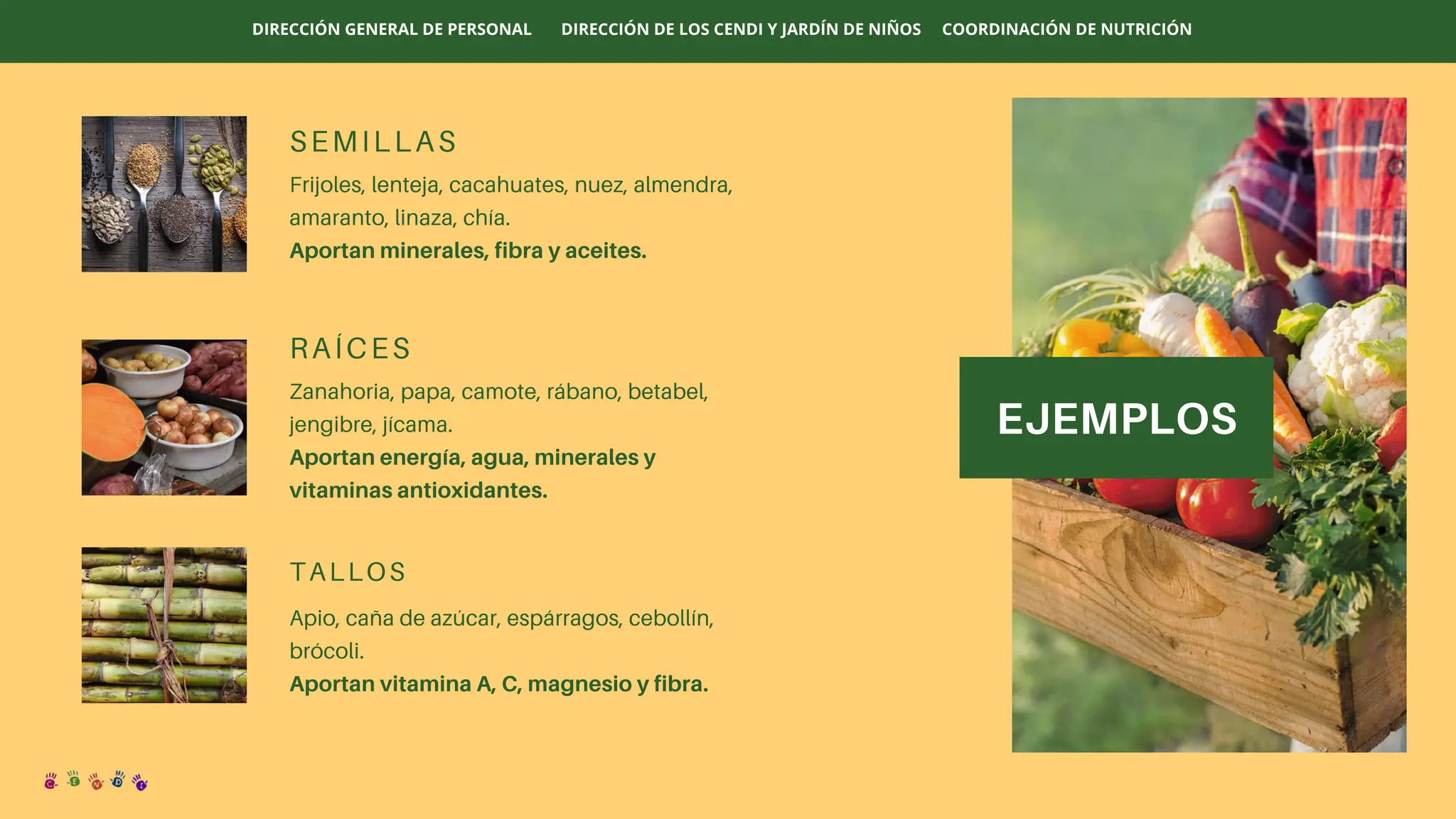 partes_comestibles_partes_comestibles_plantas.pdf | Nutrition | Healthy ...