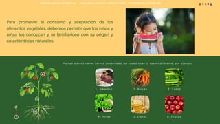 partes_comestibles_partes_comestibles_plantas.pdf | Nutrition | Healthy ...