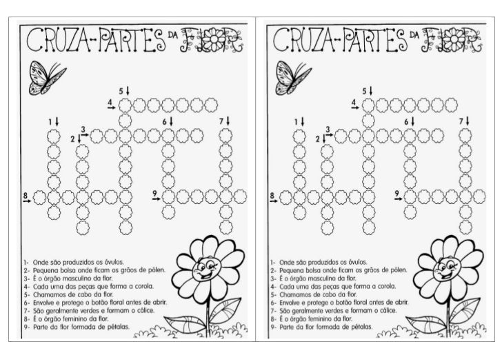 Partes da flor - Imagui