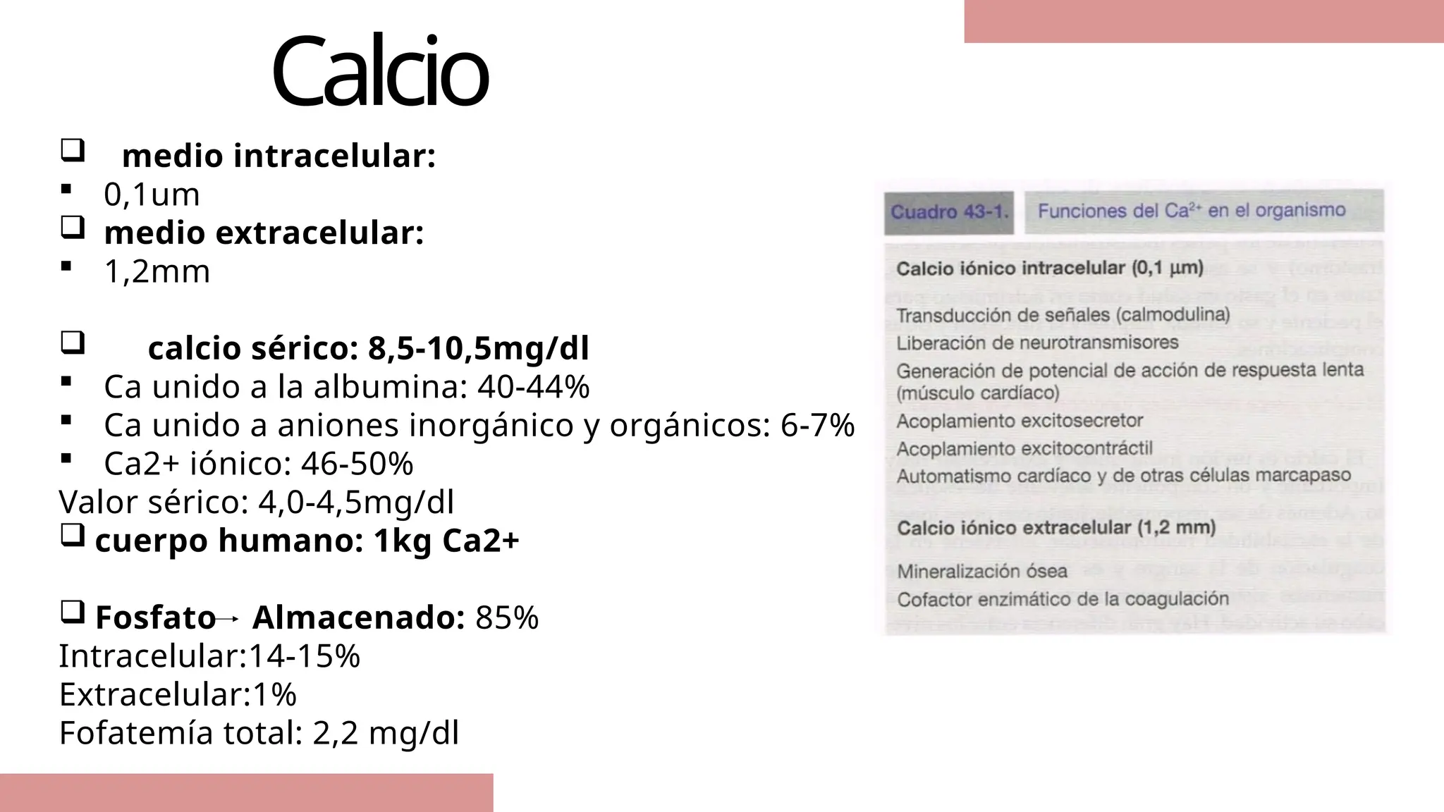 Fisiología del calcio, su distribución y más | PPTX