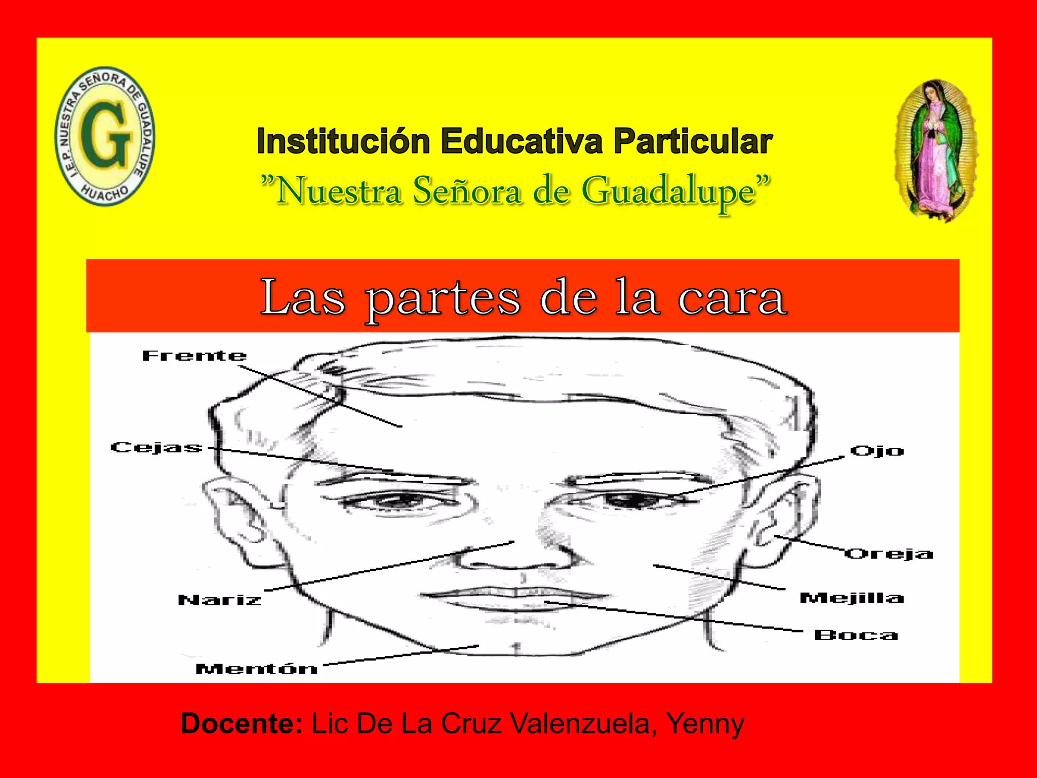 Partes de la cara | PPT
