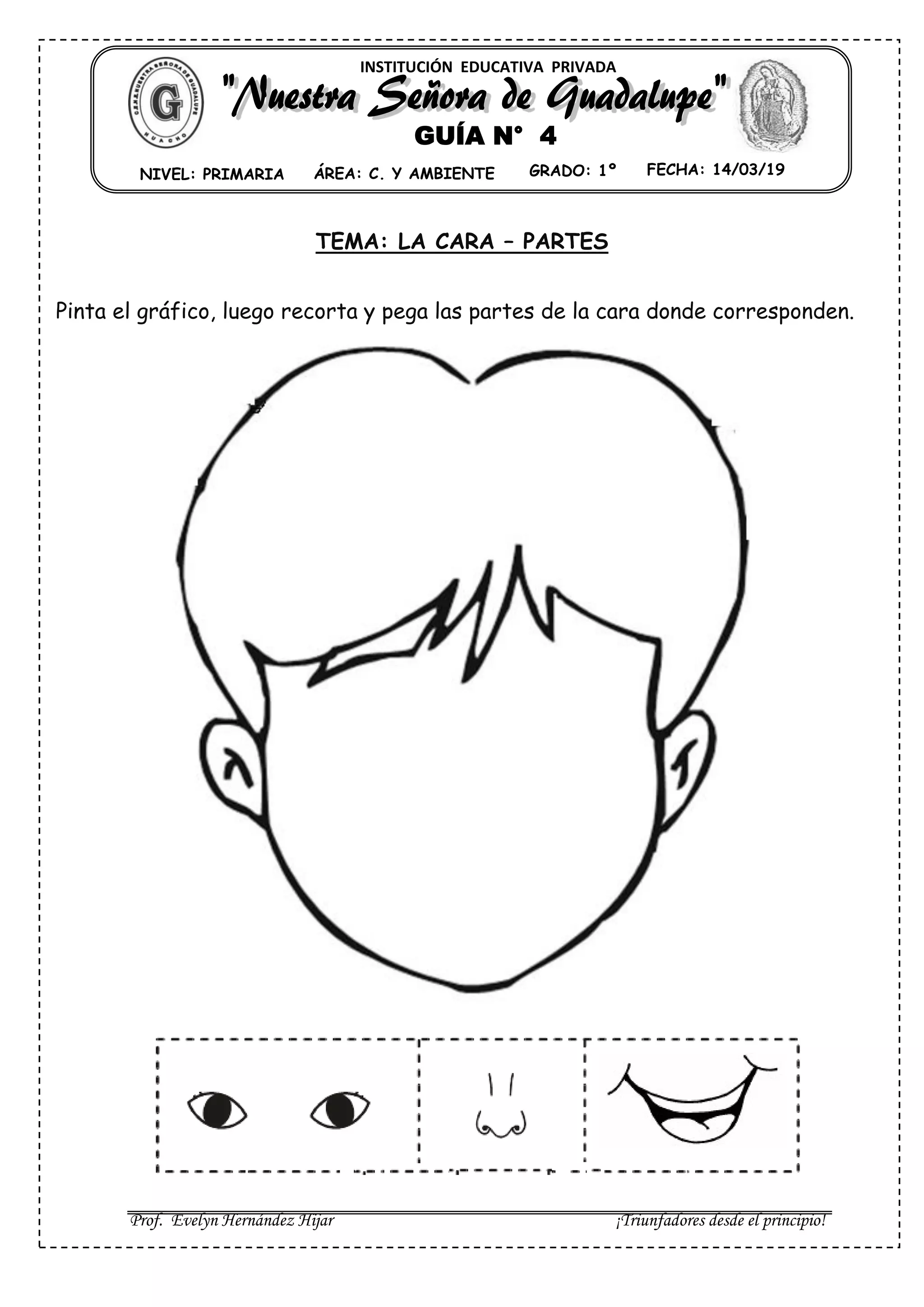Partes de la cara | PDF