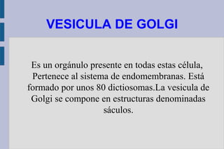 parte de celula | ODP