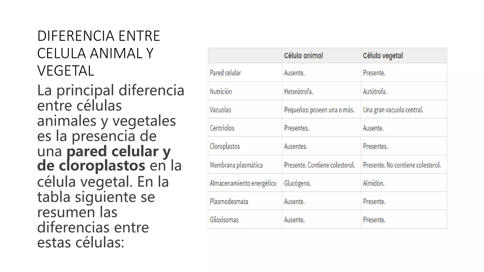 partes de la celula animal y vegetal.pptx