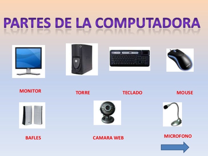 Partes De La Computadora Externas Teclado Monitor Una - vrogue.co Partes De La Computadora Externas Teclado Monitor Una - vrogue.co