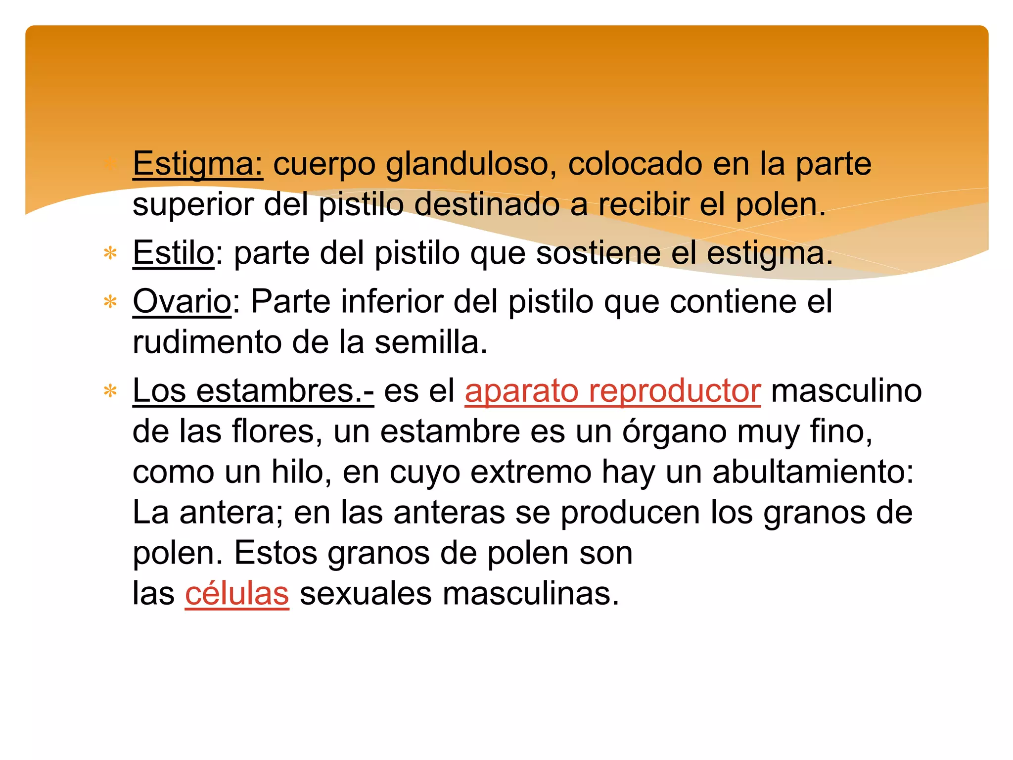 Partes de la flor | PPTX