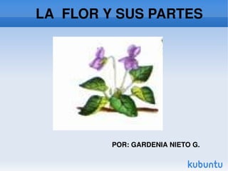 Partes de la flor (presentacion) | ODP