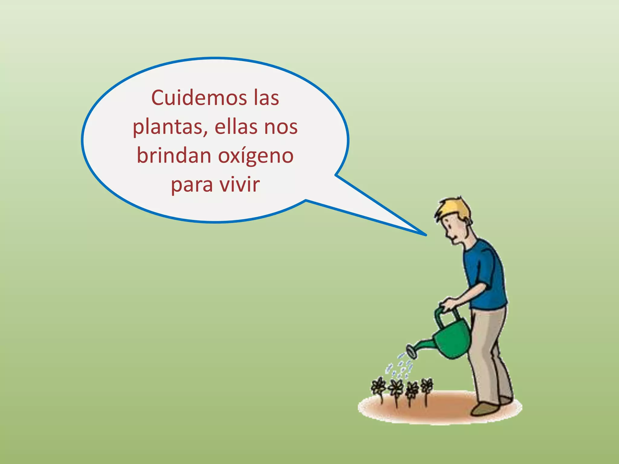 Partesdelaplanta | PPT