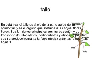 Partes de la planta | ODP