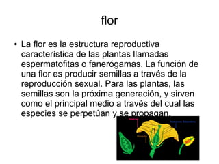 Partes de la planta | ODP