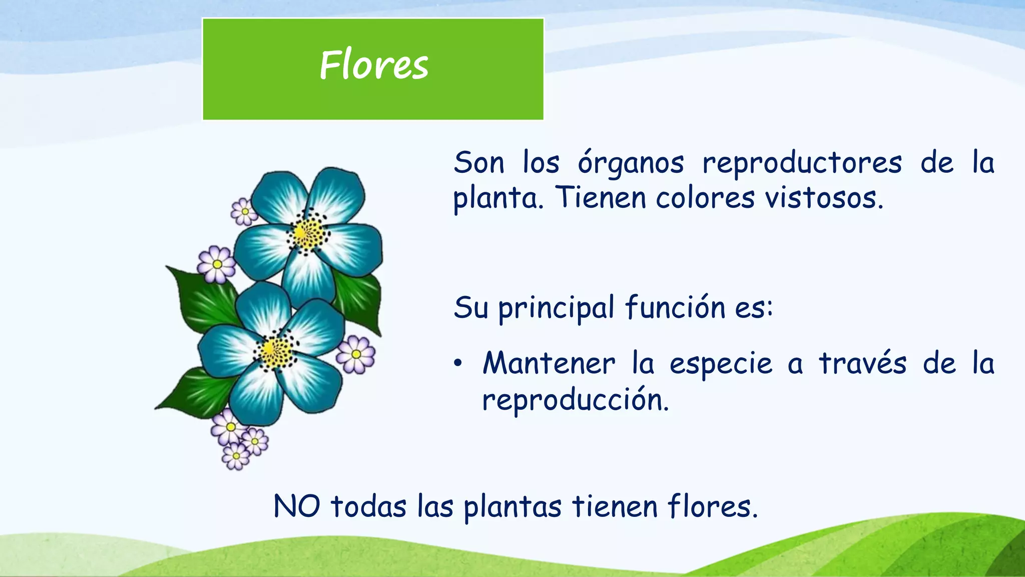 Partes de la planta | PPT