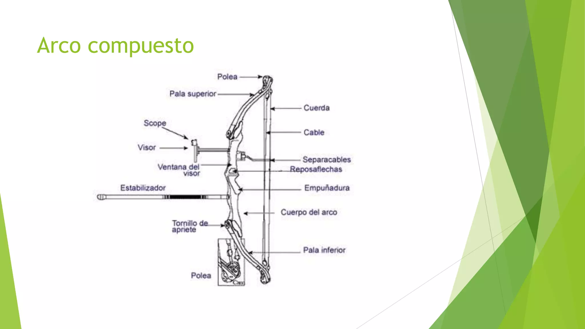 Partes del arco | PPT