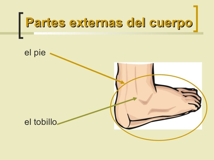 Partes Del Pie