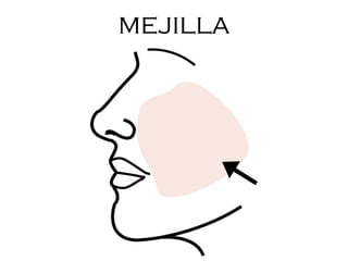 Partes del cuerpo | PPT | Death, Injury, or Military Conflict ...