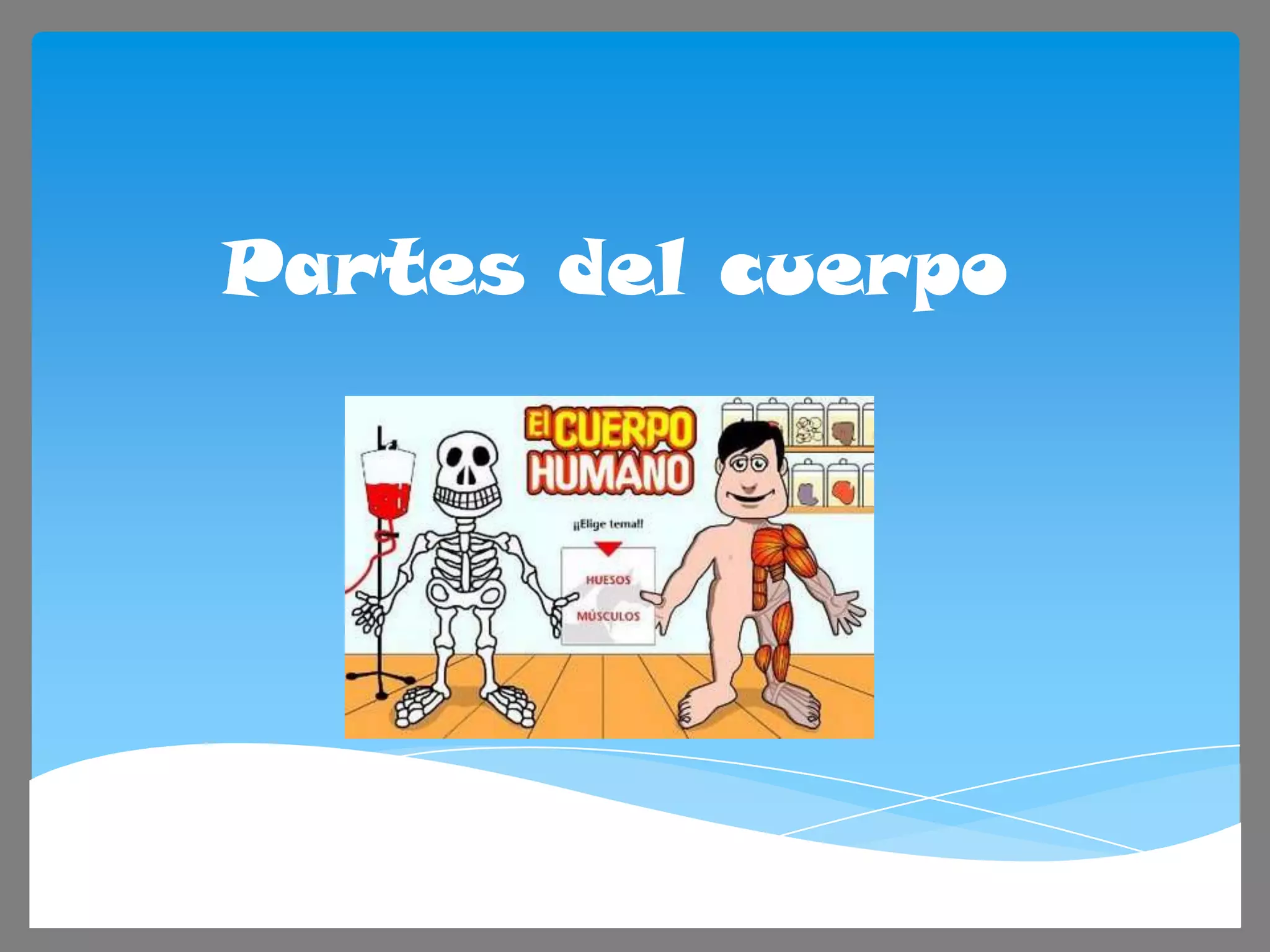 Partes del cuerpo | PPTX