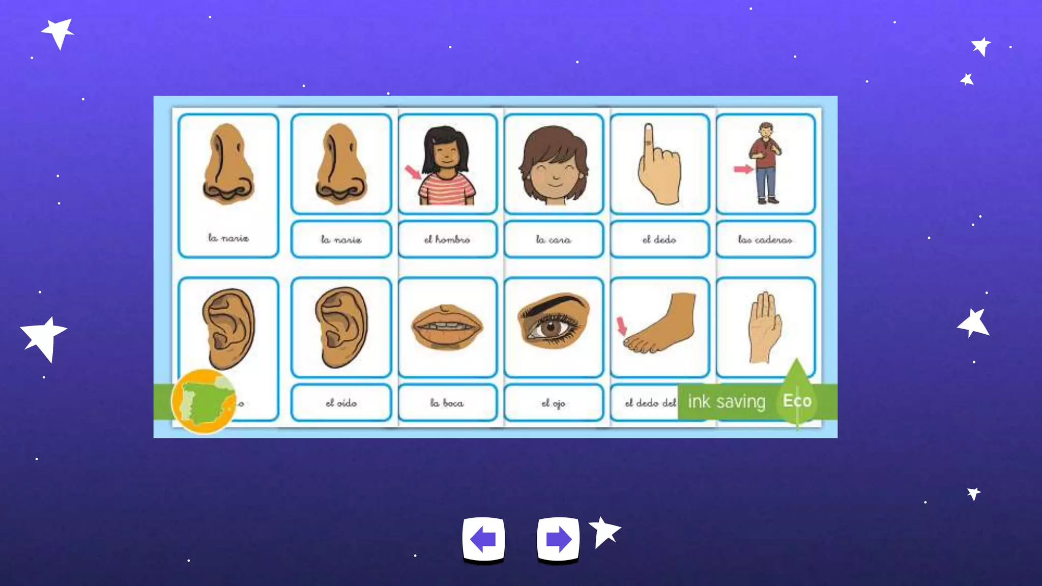 partes del cuerpo.pptx