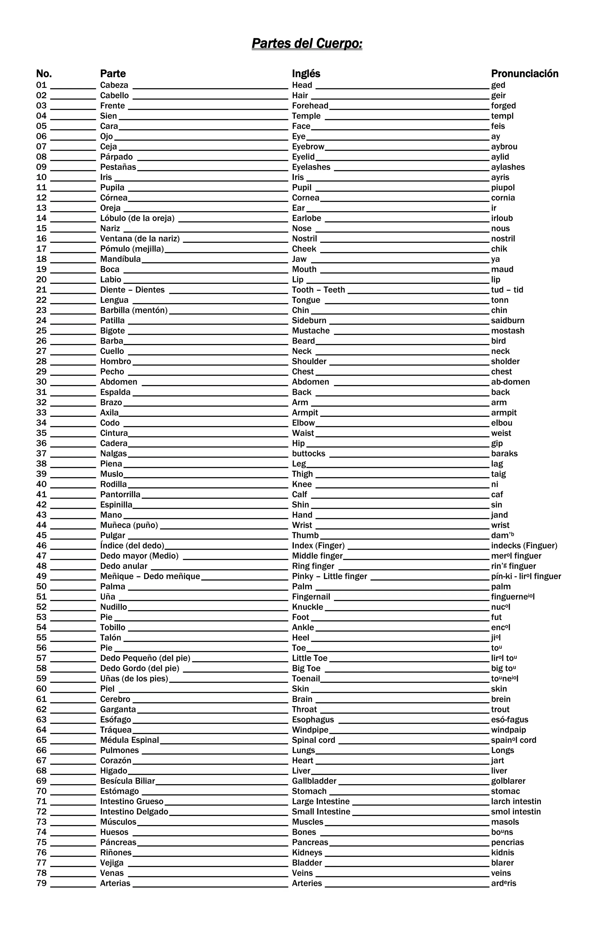 Partes Del Cuerpo Body Parts Pdf