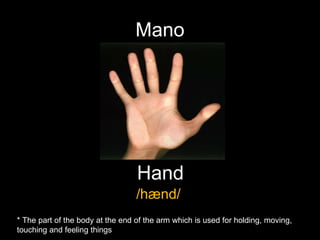 Partes Del Cuerpo Humano | PPT