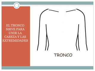 Partes del cuerpo humano | PPSX