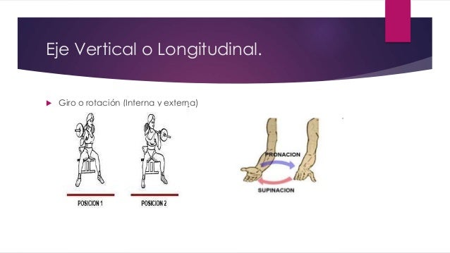 Partes del cuerpo humano (1)