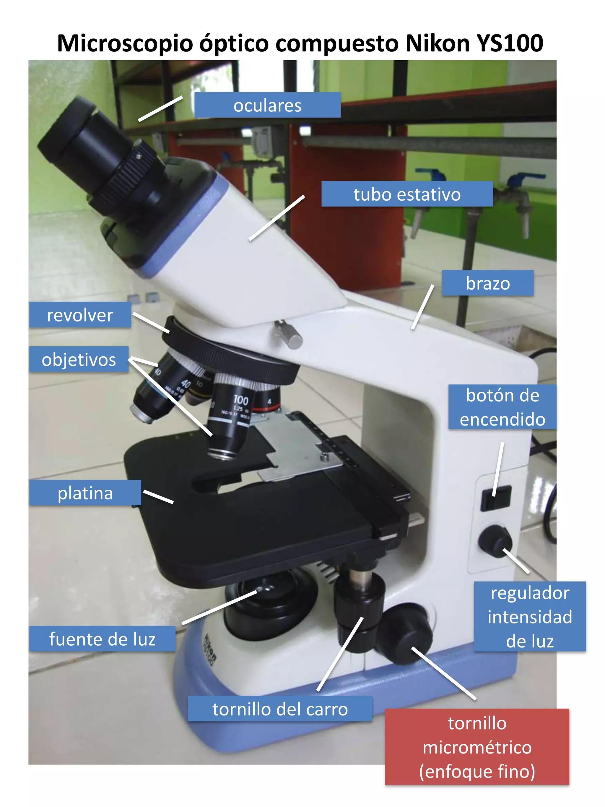 Partes del microscopio | PDF
