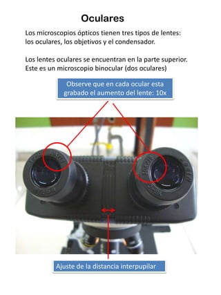 Partes del microscopio | PDF